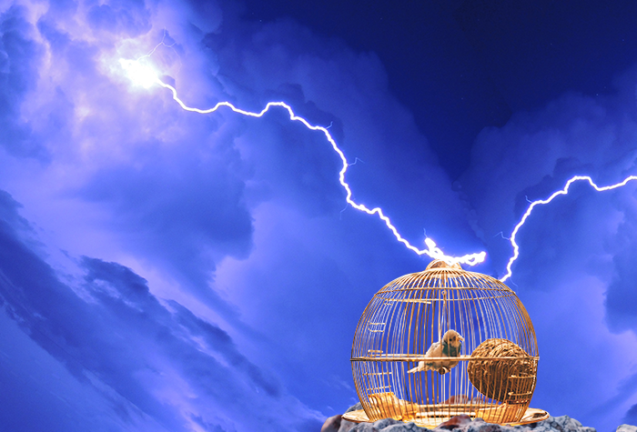 Voorbij Einstein | Wiskunde, natuurkunde en filosofie | Het elektrische ...